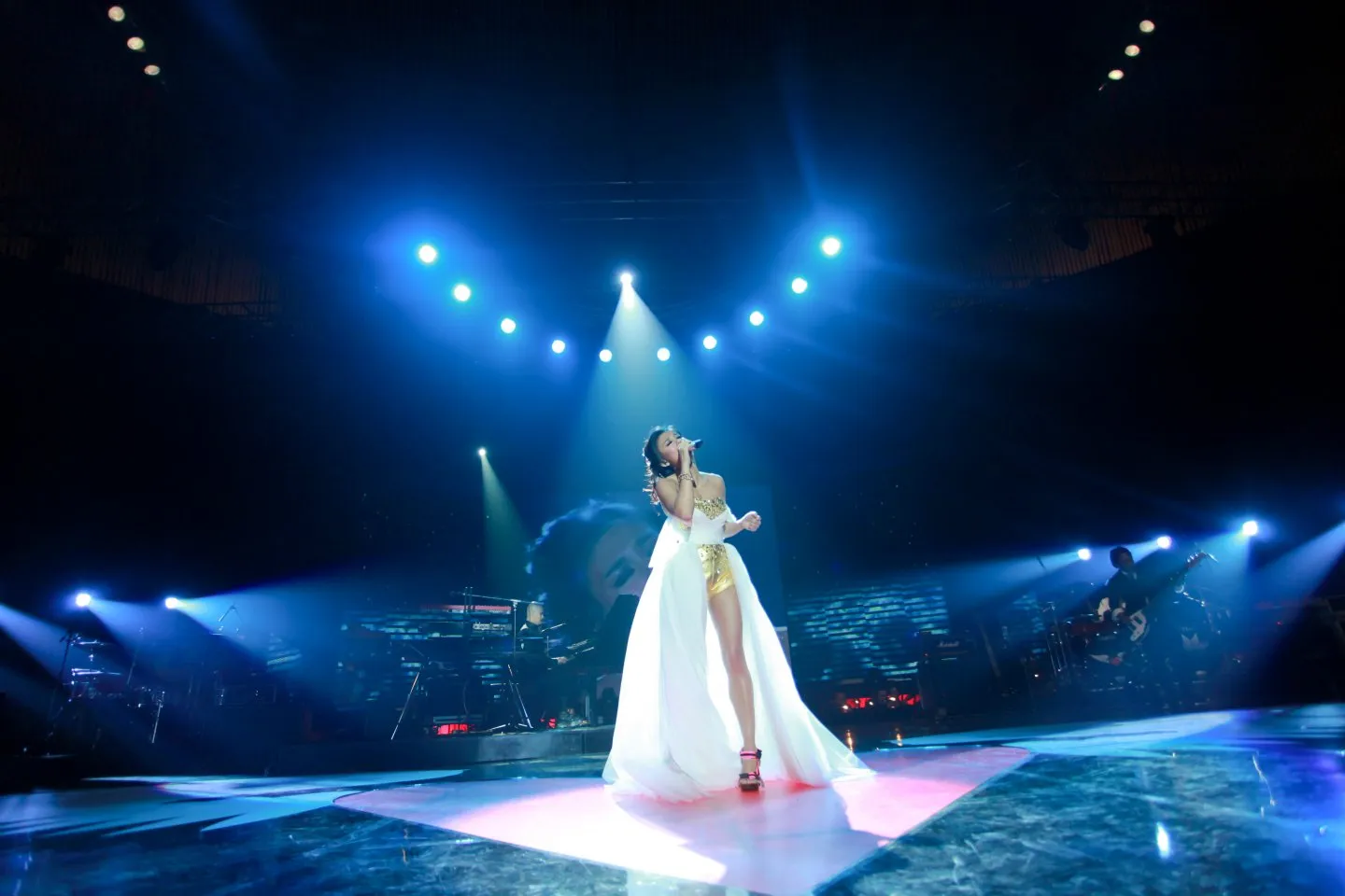 FESTIVAL & CONCERT MANAGEMENT | Our Services | TAE Corporation